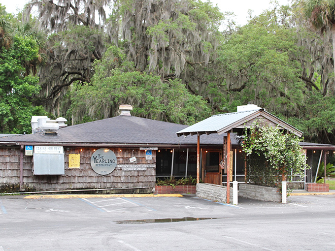 Nestled among Spanish moss-draped oaks, this unassuming wooden haven holds more authentic Florida character than a dozen theme parks combined.
