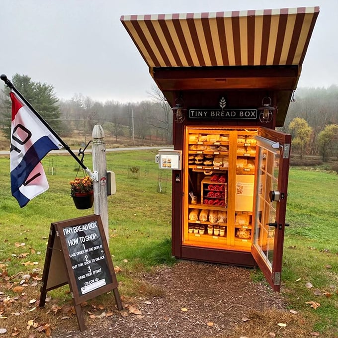 A charming roadside discovery: The Tiny Bread Box stands proudly with its striped awning, beckoning hungry travelers with promises of freshly baked delights.