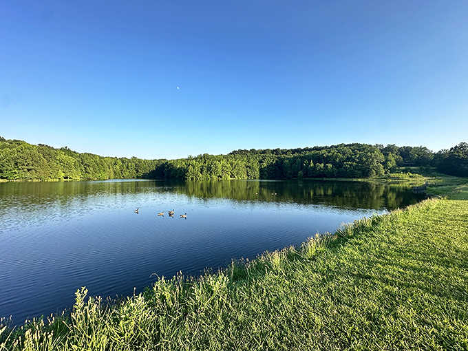 Mirror-like waters reflect a perfect blue sky, while distant ducks create ripples across the surface &ndash; nature's own meditation app come to life.