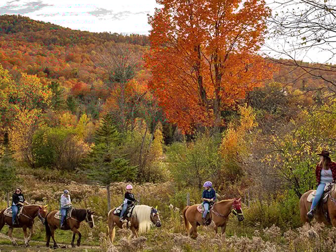 The welcoming entrance to Lajoie Stables, where Vermont's most breathtaking fall adventures begin on horseback rather than horsepower.