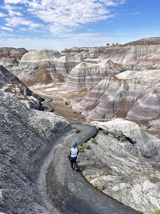 Step into a world where time forgot to tick. This winding path through Blue Mesa's badlands is nature's own time machine.