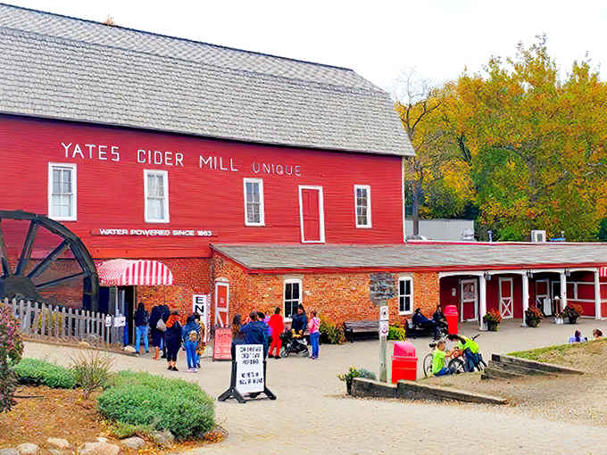 The iconic red barn of Yates Cider Mill stands proudly against autumn foliage, its water wheel ready to transform apples into liquid gold.