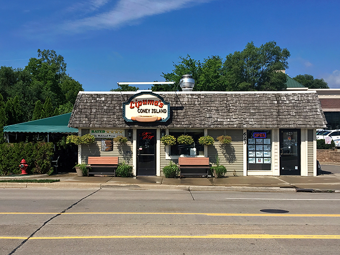 Welcome to hot dog heaven! Lipuma's Coney Island stands proud, its cheerful awning beckoning like a green lighthouse for hungry souls.
