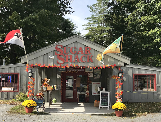 Welcome to sugar paradise! This charming shack is where Vermont's sweetest dreams come true.