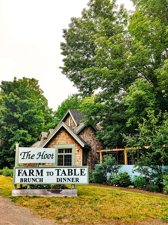 A storybook cottage nestled among verdant trees, The Hoot's cedar-shingled exterior promises rustic charm before you even step inside.