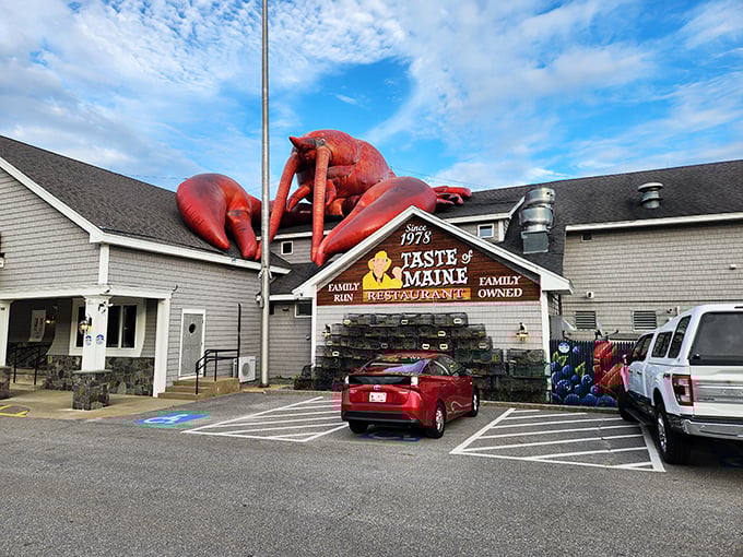 You can't miss Taste of Maine - just look for the giant lobster on the roof waving hello like an enthusiastic crustacean doorman!