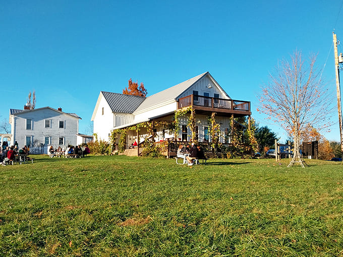 The charming barn-style winery stands proudly against a brilliant blue sky, inviting visitors to escape into a world of rustic elegance and vineyard views.