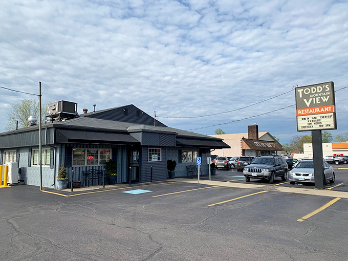 Welcome to Todd's Mountain View, where the only peaks you'll see are the mountains of deliciousness on your plate!