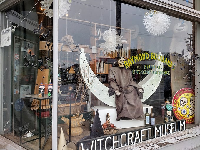 Abracadabra! Step into a world where magic is real and every artifact has a story to tell.