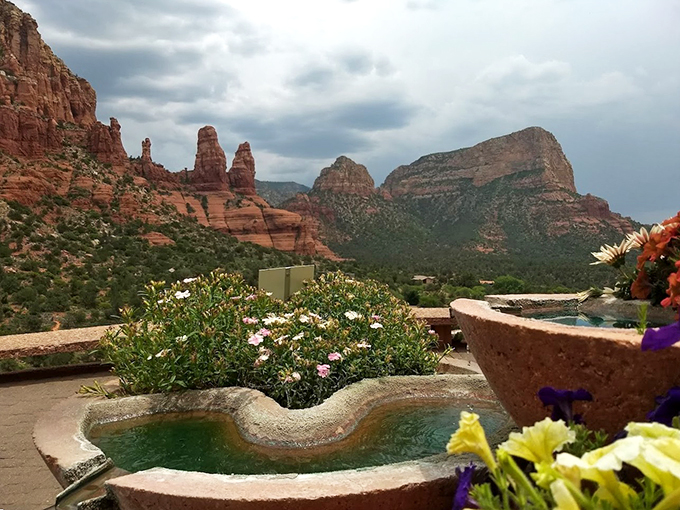 Who says you can't have an oasis in the desert? This garden is like finding a salad bar at a steakhouse - unexpected but delightful! 