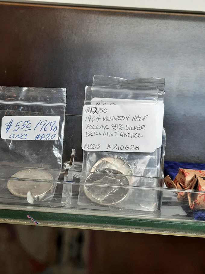 A 1964 Kennedy Half Dollar gleams with possibility &ndash; 90% silver and 100% conversation starter for any budding numismatist.