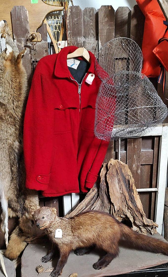 Vintage hunting gear and taxidermy create an outdoorsman's paradise, or at least a very interesting conversation starter for your living room.
