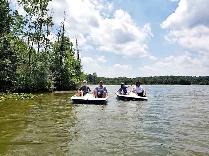 Families create summer memories in paddle boats, exploring hidden coves while gliding across Sunny Lake's inviting waters.