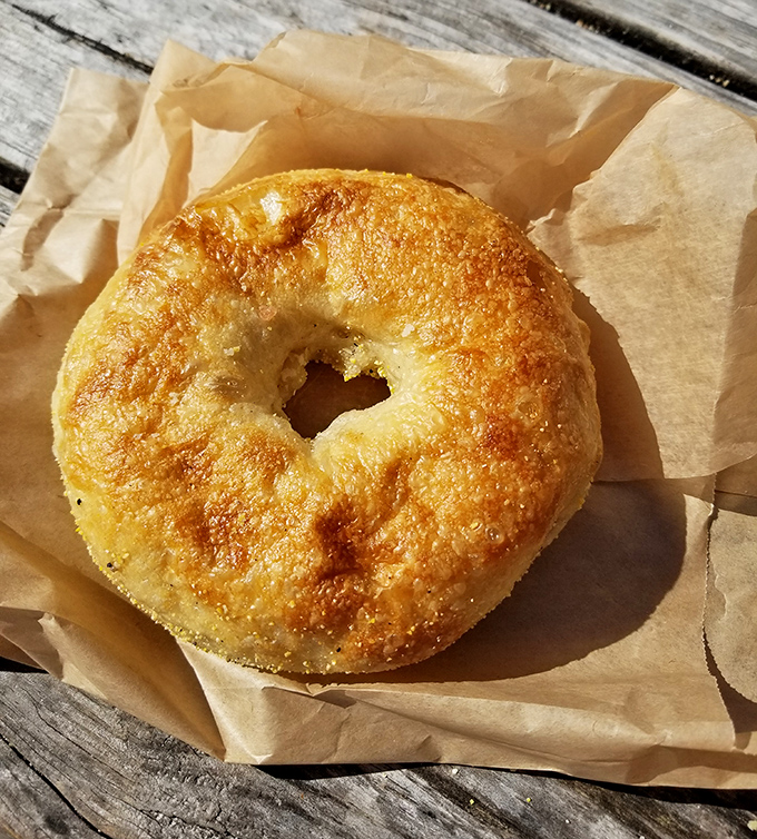 A perfectly toasted bagel sits in humble splendor, knowing it's about to become the highlight of someone's day.