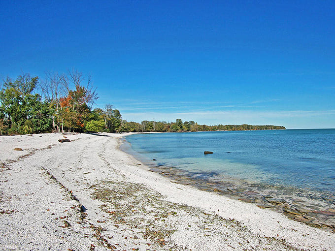 Sandy shores: Where bare feet meet cool sand, and the only decision more pressing than "swim or sunbathe?" is "nap now or later?"