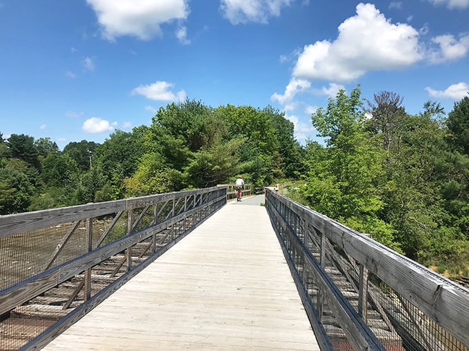 The Belfast Rail Trail offers a peaceful path through nature, following the gentle curve of the river toward unexpected discoveries.