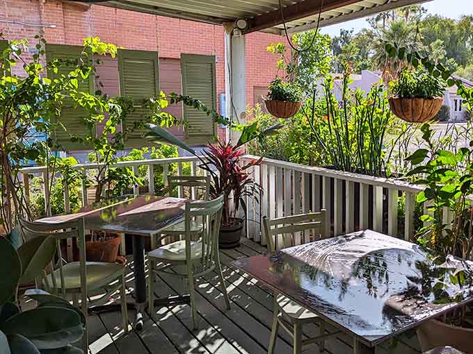 The outdoor patio offers a peaceful escape where you can digest your meal surrounded by plants and good vibes.