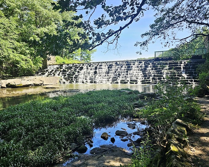 Summer's lush greenery transforms this small waterfall into a refreshing oasis, where cool mist offers relief from heat.