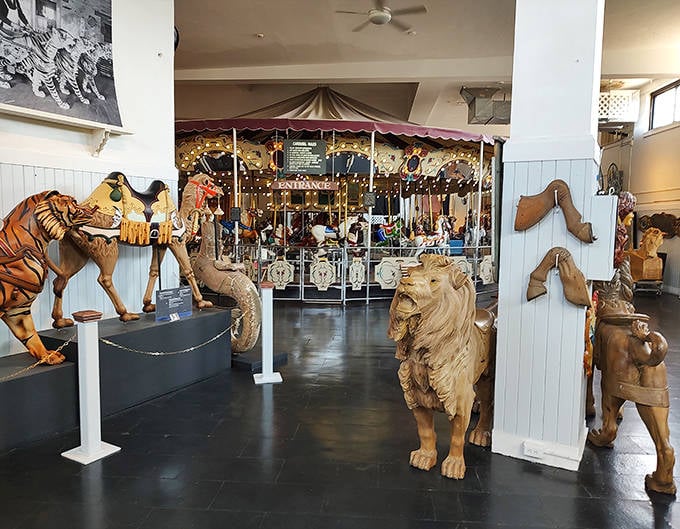 A menagerie of carved creatures stands guard, silently judging modern amusement rides for their lack of hand-painted details and wooden charm.