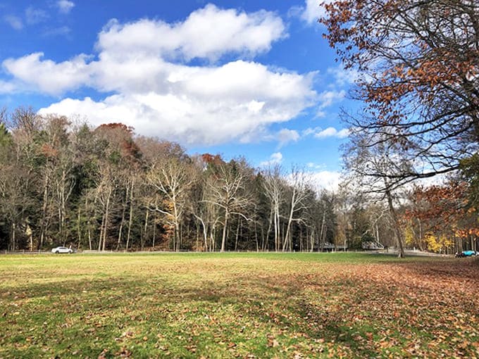 Open meadows provide perfect picnic spots within sight of the wooded areas that cradle the Cinderella Bridge in their leafy embrace.