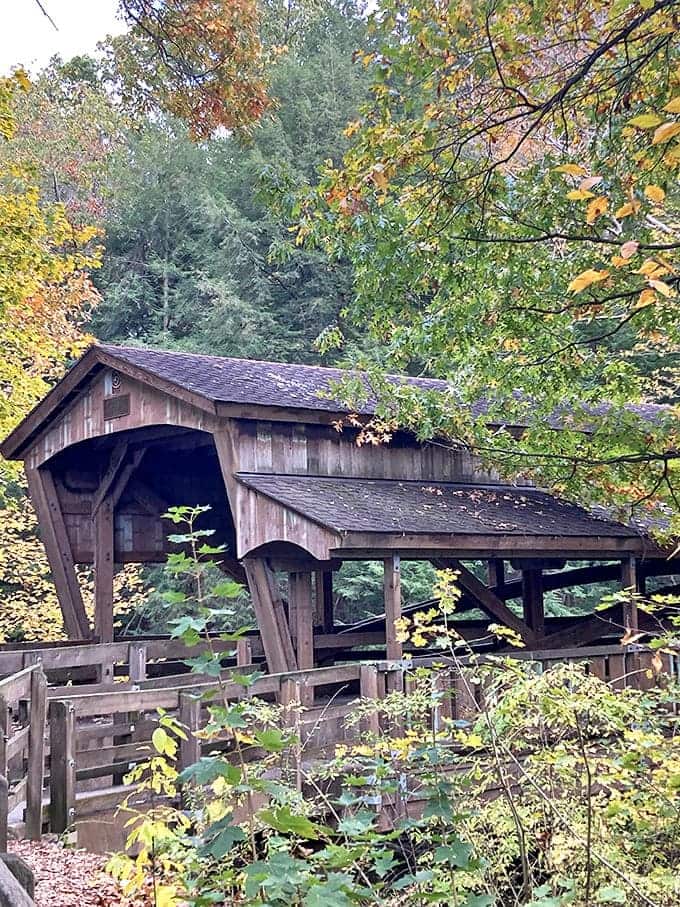 This covered bridge doesn't just span a creek; it connects us to generations who crossed before, seeking the same peace we search for today.
