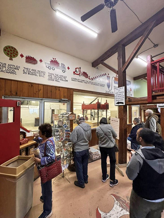 Cider-making voyeurism at its finest &ndash; visitors watching the pressing process through viewing windows, mesmerized by apples becoming liquid magic.