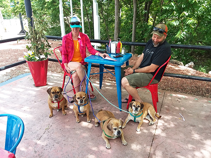 The patio welcomes both two-legged and four-legged guests, proving that good taste crosses species boundaries at Bing's Burger Station.
