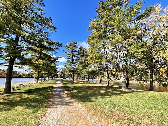Picnic spots positioned perfectly for family gatherings where everyone actually gets along because nature has that magical calming effect.