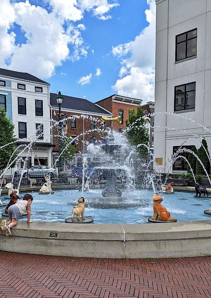 Even the dogs seem mesmerized by this playful fountain, where water dances between whimsical sculptures in downtown Mount Vernon.