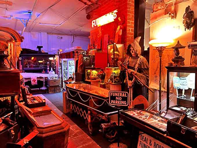 Interior Vibe: The museum's crimson-bathed atmosphere transforms the macabre into the magical &ndash; like stepping into a Victorian medical theater after hours.