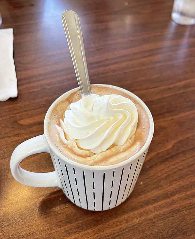 Hot chocolate topped with whipped cream in a proper mug, because some things are better when they're not trying to be fancy or Instagram-worthy.