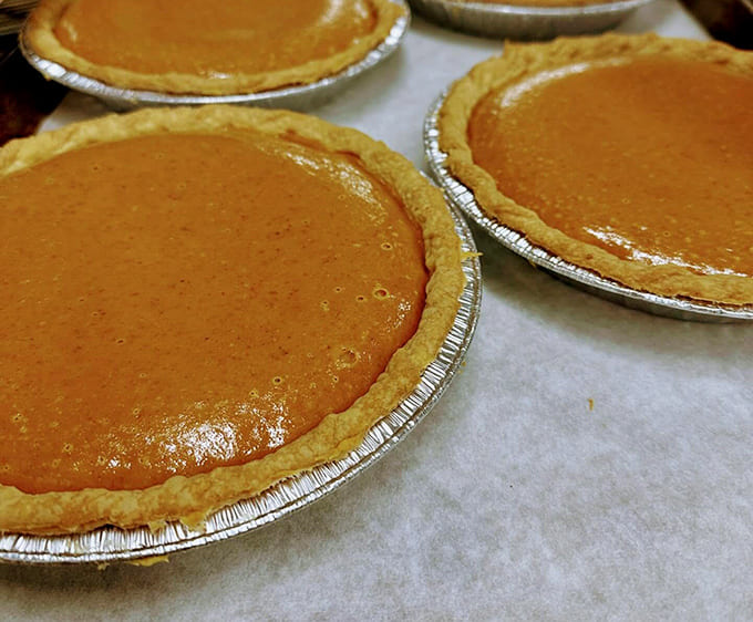 Fresh pumpkin pies with their golden crusts represent autumn perfection in circular form, ready to make your holiday table look like you actually know what you're doing.