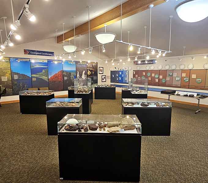 Inside the Moose Lake Agate and Geological Center, display cases hold treasures that make you reconsider everything you thought about rocks.