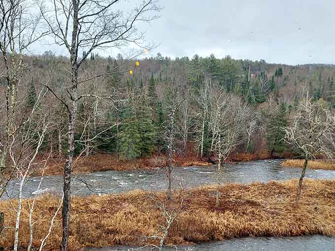 The view outside reminds you that Vermont's natural beauty is the perfect complement to what's happening on your plate.