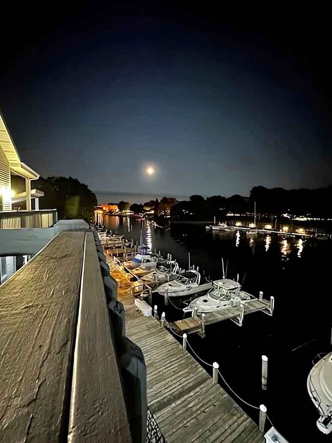 Moonlight dances across the marina waters, turning ordinary boats into silhouettes against Manistee's star-studded night canvas.