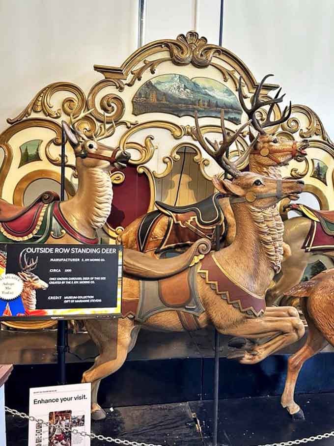 This majestic deer leaps eternally forward, showcasing the "Outside Row" premium position where carousel carvers displayed their finest work.