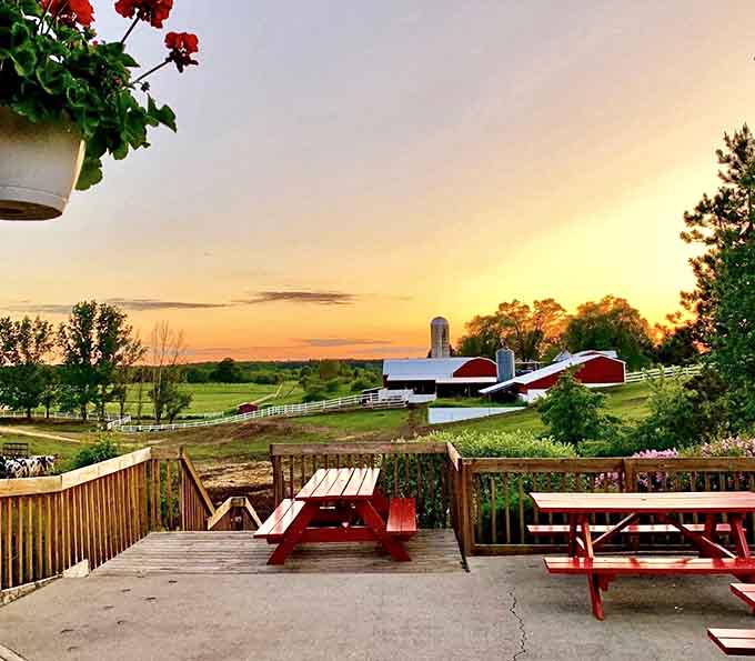 The deck offers picturesque farm views &ndash; enjoy your cone while watching the very cows responsible for your moment of dairy bliss.