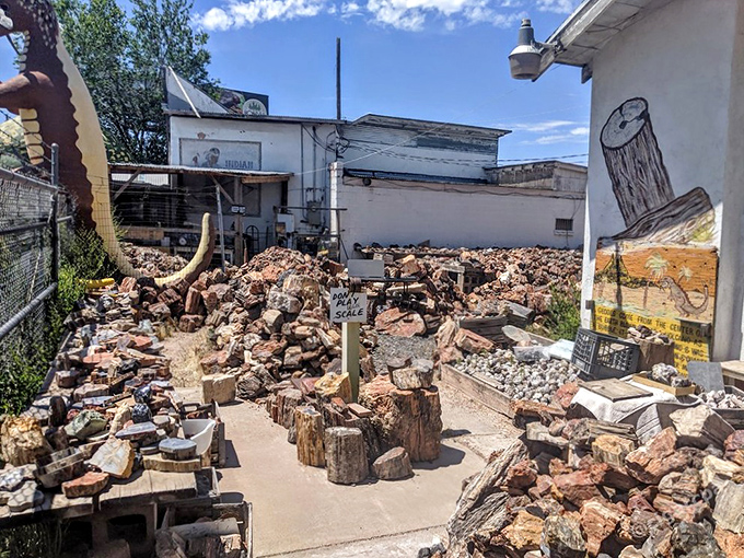 Geological treasure hunting in the Arizona sun, where every stone holds potential prehistoric surprises.