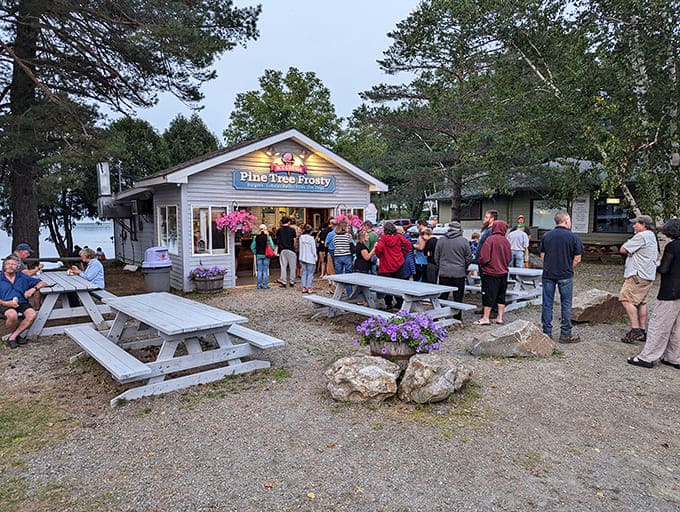 Pine Tree Frosty draws crowds for good reason, serving up classic summer treats that taste better with mountain views.