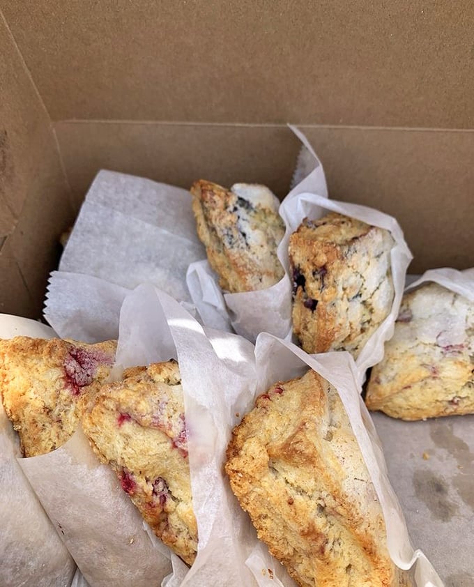 Fresh-baked scones nestled in parchment &ndash; studded with wild Maine berries, these golden treasures sell out daily for good reason.