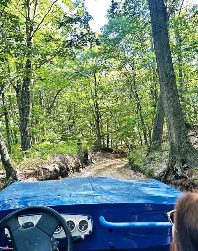 Those smooth, groomed sand roads might look gentle, but they're about to become your personal roller coaster as the vehicle picks up speed on the descents.