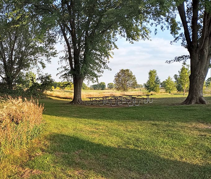 These picnic tables under massive shade trees offer front-row seats to nature's show, where your lunch comes with a side of serenity.
