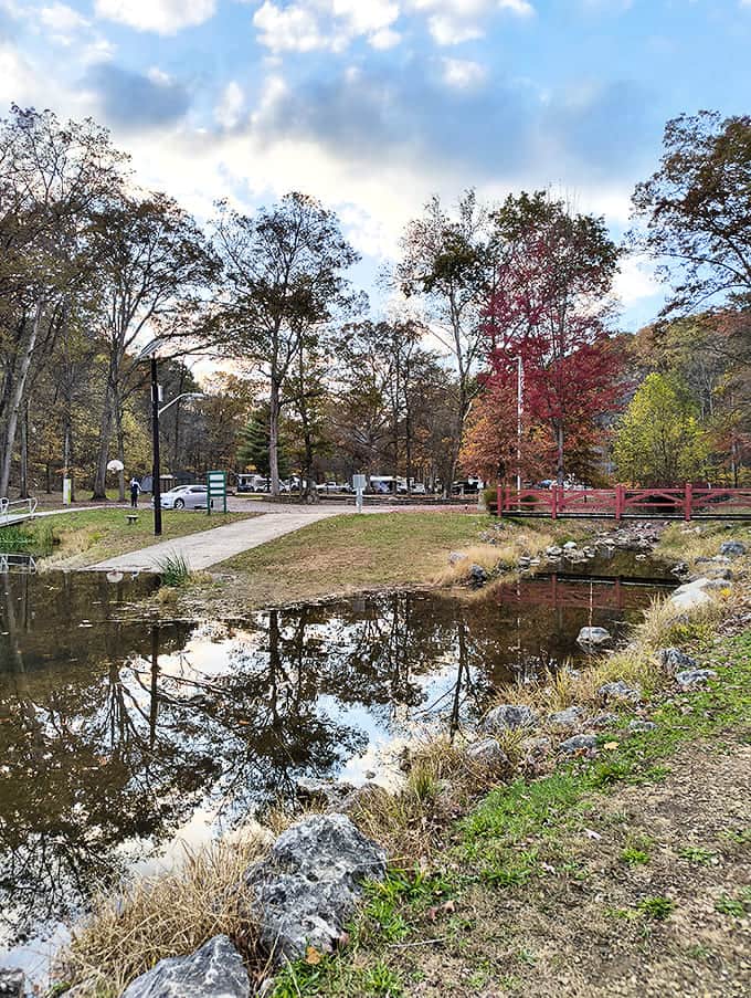 Scioto Trail State Park: Nature's reflection pool captures autumn's glory, mirroring the simple perfection of a day spent wandering Piketon's nearby wilderness.