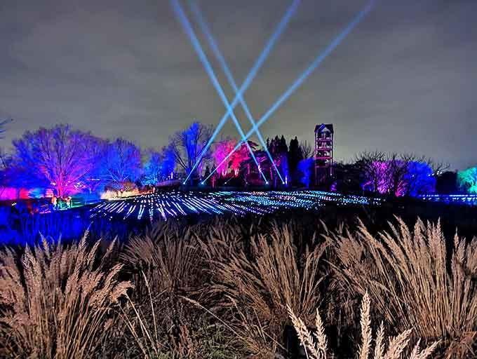 The Sea of Light installation turns nighttime garden strolls into an otherworldly experience &ndash; like walking through a galaxy of earthbound stars.