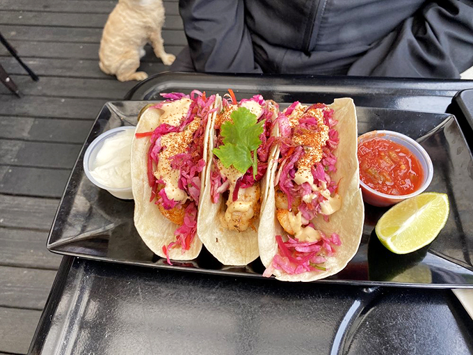 These aren't just tacos, they're a fiesta for your mouth! Packed with shrimp and topped with a confetti of colorful slaw, it's a celebration on a plate.