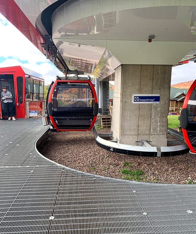 The gondola station at the summit welcomes you to elevation where the air tastes better and the views justify the ticket price.