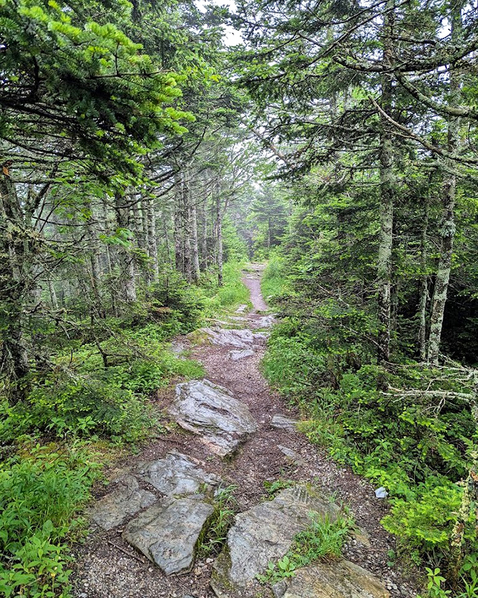 For those who prefer earning their views the hard way &ndash; a challenging but rewarding alternative to driving.