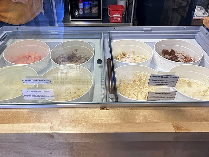 The ice cream display case showcasing rotating flavors that change like Minnesota weather, keeping things interesting for repeat visitors and indecisive dessert lovers everywhere.