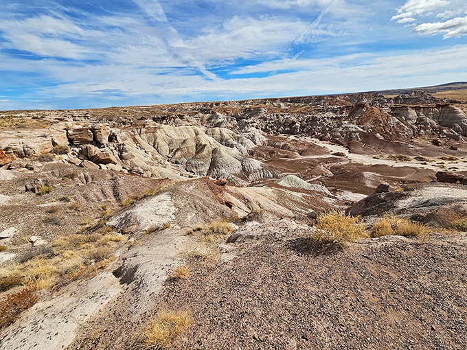 Fifty shades of... well, everything. Blue Mesa's colorful terrain is like a painter's palette gone wild.
