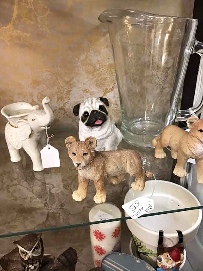 Miniature animals including a distinguished pug gather for what appears to be the world's smallest, most charming zoo exhibit.